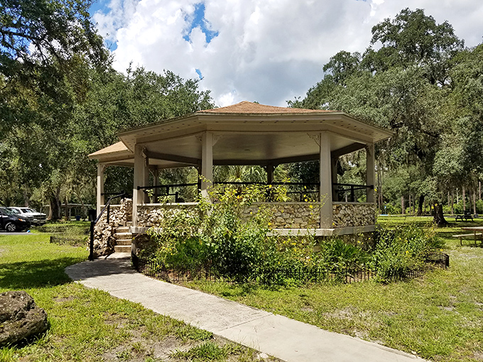 The park's elegant gazebo stands like a time-traveling bandstand, where you half expect to see Victorian-era Floridians gathering for Sunday concerts.