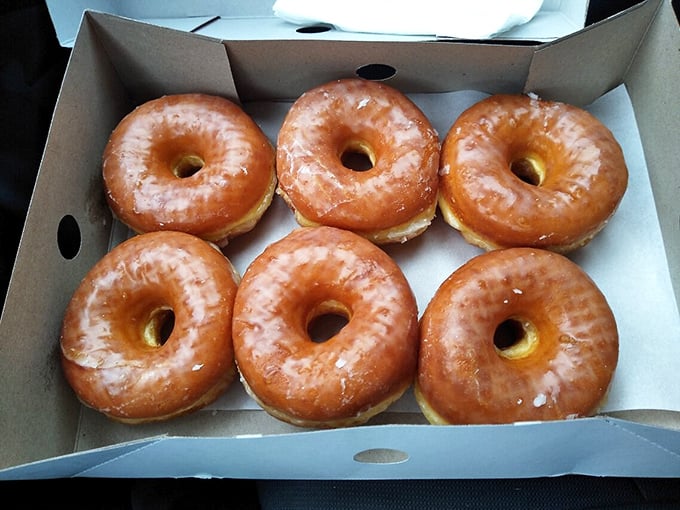 Glazed perfection in its natural habitat. These golden rings aren't just donuts—they're edible halos that make Monday mornings bearable.