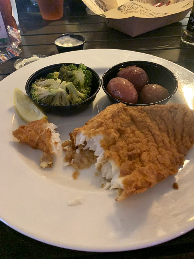 Golden-fried perfection that makes fish skeptics reconsider their life choices. This grouper is the reason Floridians smile knowingly when northerners brag about their seafood.