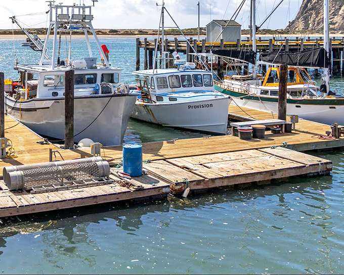 Working fishing boats rest at wooden docks, a reminder that beneath Morro Bay's tourist-friendly veneer beats the heart of a genuine maritime community.