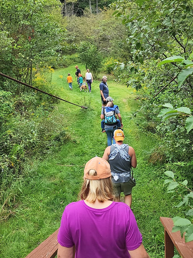 The best hiking groups move like a friendly caterpillar through the lush undergrowth, each person collecting memories instead of steps on their fitness tracker.