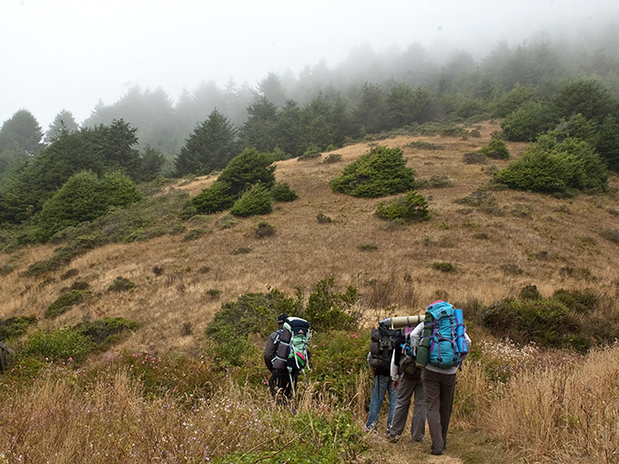 Hiking through Sinkyone's misty hills feels like stepping into a fantasy novel&mdash;minus the dragons, but with 100% more breathtaking coastal views.