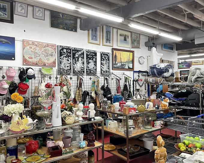 A wonderland of knickknacks, artwork, and collectibles where one person's "I don't need this anymore" becomes another's "I've been looking everywhere!"