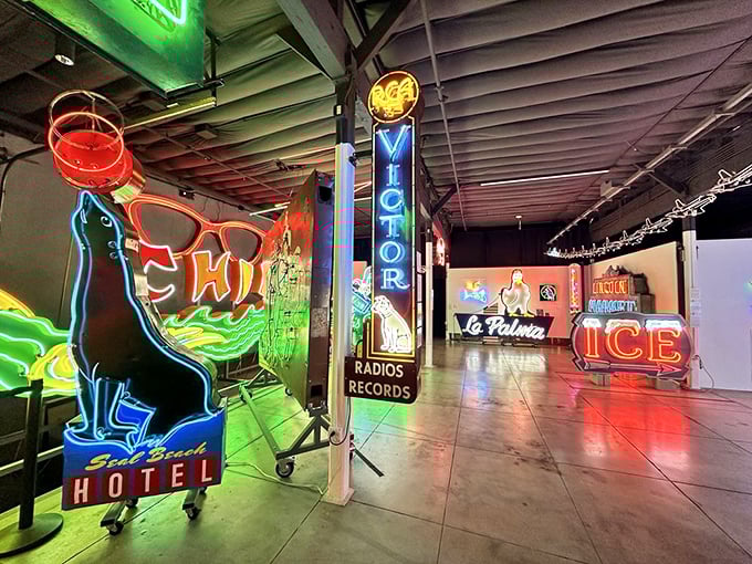 Vintage signs rescued from demolished buildings find sanctuary here, their stories preserved in glass tubes and noble gases.