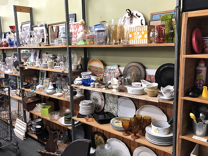 Dishes tell stories of family dinners past. This kitchenware collection offers everything from everyday plates to that perfect vintage serving bowl your grandmother once had.