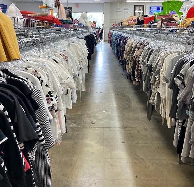 Ladies' clothing racks overflow with possibilities, where yesterday's fashion mistakes become tomorrow's vintage victories at unbeatable prices.