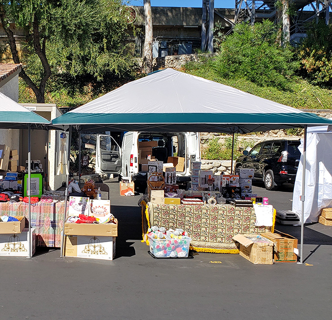 Vendor tents create a makeshift neighborhood where yesterday's treasures await their second act. The thrill of the hunt is palpable.