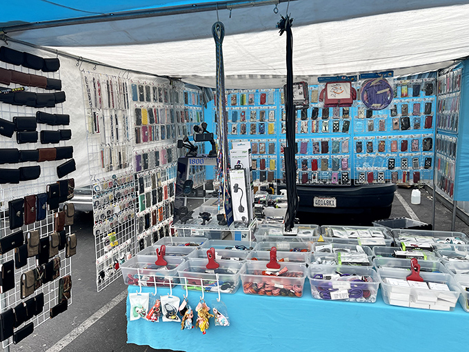 Phone case paradise! Whatever your digital companion, there's a protective outfit waiting in this technicolor sea of accessories.