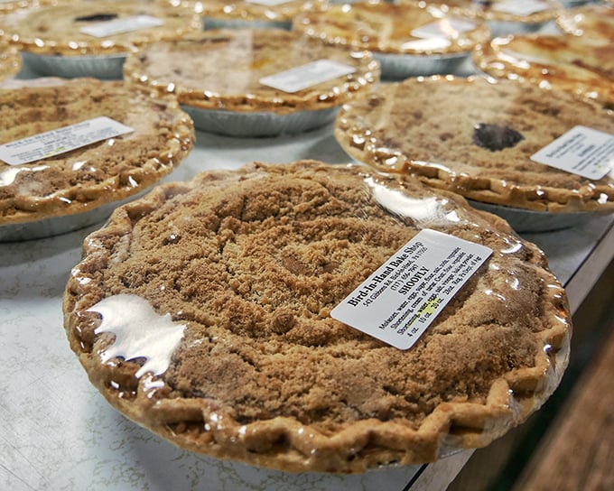 These shoofly pies aren't just desserts&mdash;they're edible Pennsylvania history. One bite and you'll understand why locals have treasured this molasses magic for generations.