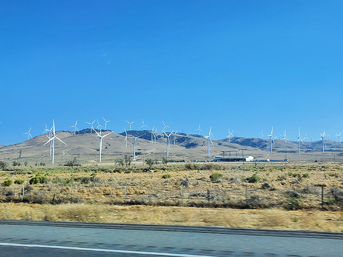 Wind turbines dot the landscape like modern-day Don Quixotes, harnessing the famous Tehachapi winds while creating a surreal, almost sci-fi panorama.