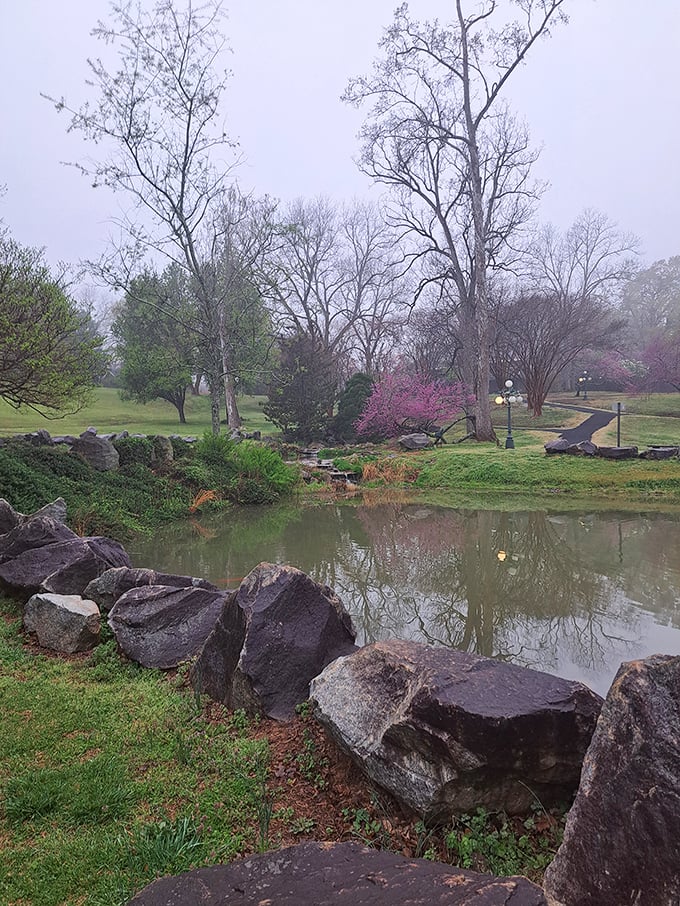 Mountain trails beckon with the promise of discovering views that make your smartphone camera weep with inadequacy.