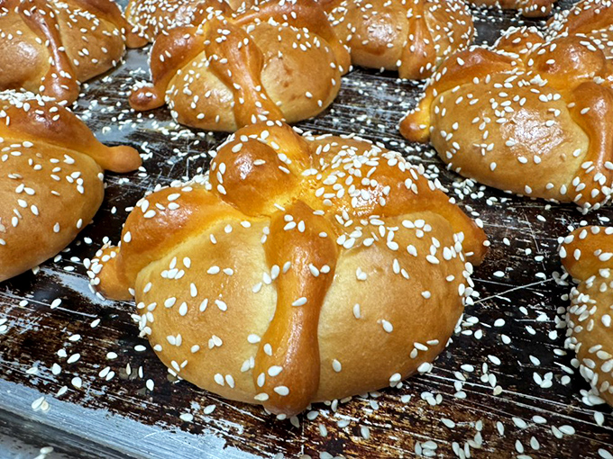 Golden-brown perfection! These sesame-topped rolls glisten with promise, like little edible sunrises waiting to brighten your morning coffee ritual.