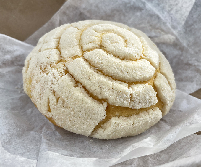 The concha&mdash;a sweet bread masterpiece where the sugar-shell topping creates a delightful contrast that makes your morning coffee feel like it just got promoted.