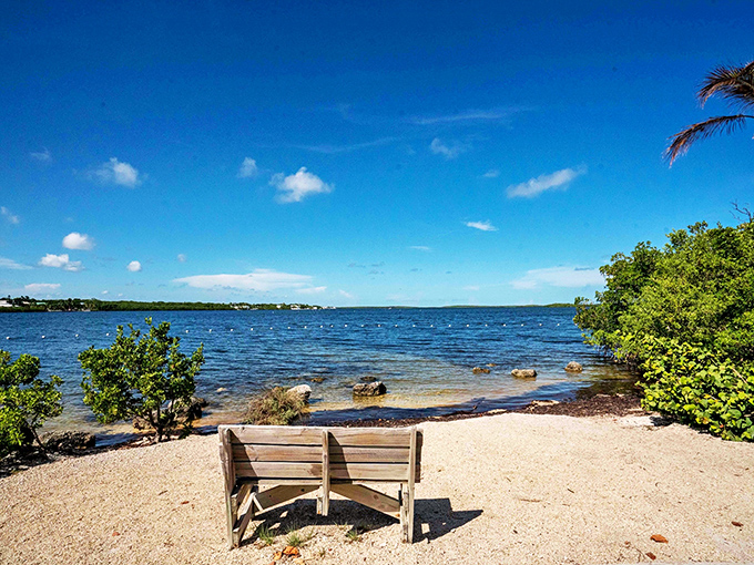 Paradise's waiting room has two wooden seats with the best view in Florida. No reservation required, just patience.