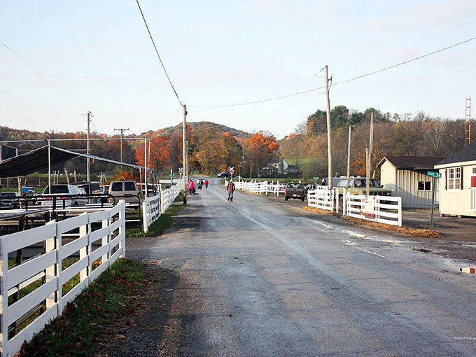 Autumn paints the backdrop of Rogers' rural setting with fiery colors. The white fences and country road create a Norman Rockwell scene that feels quintessentially American.