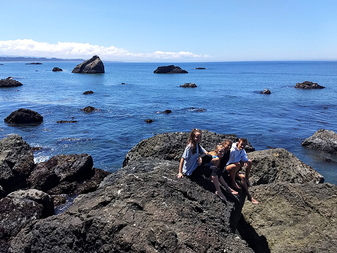 Friends finding their perfect perch above the Pacific. Some viewpoints are worth climbing for, especially when shared.