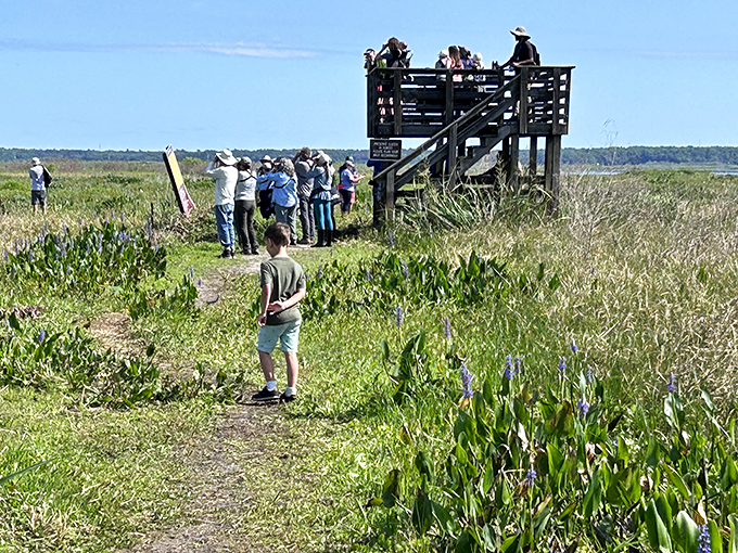 Bird enthusiasts gather like paparazzi at a Hollywood premiere, except these stars have feathers and aren't asking for autographs.