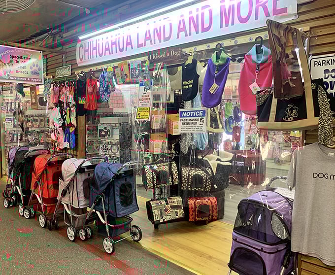 "Chihuahua Land and More" proves Florida flea markets understand our pet obsession. Even tiny dogs deserve their own fashion boutique and luxury transportation options.