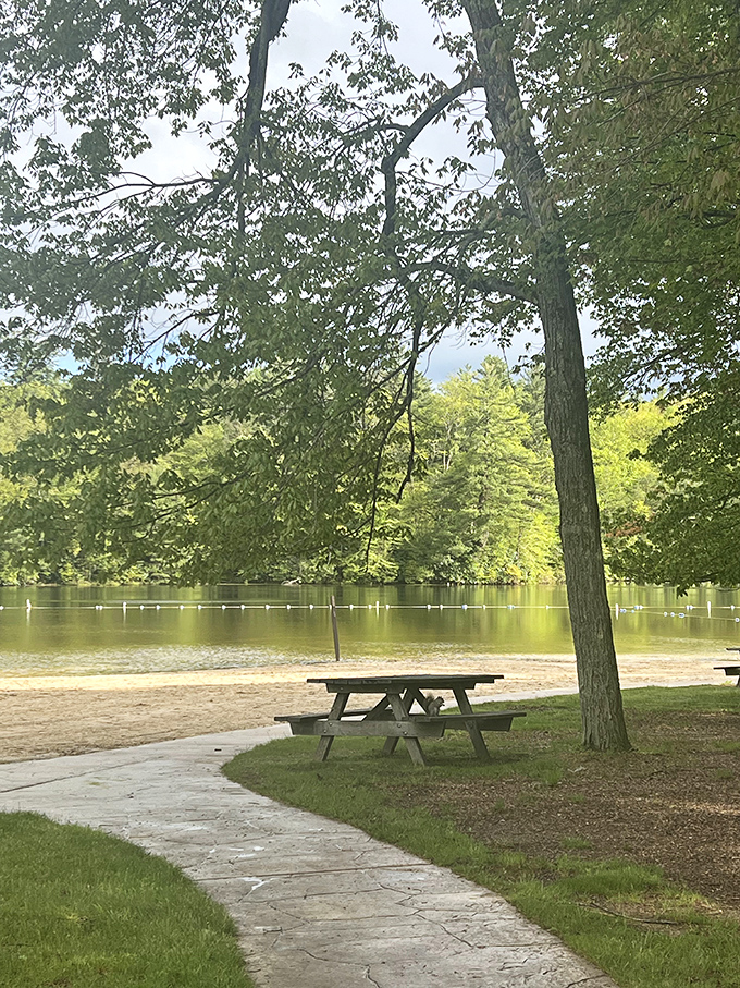 Sometimes the best dining room has no walls, just trees and the sound of rushing water.