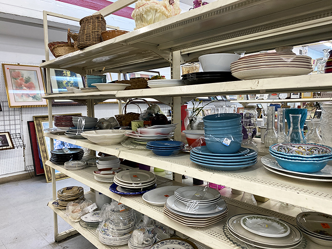 Dish paradise! From mid-century classics to yesterday's department store finds, these plates have served more stories than meals.