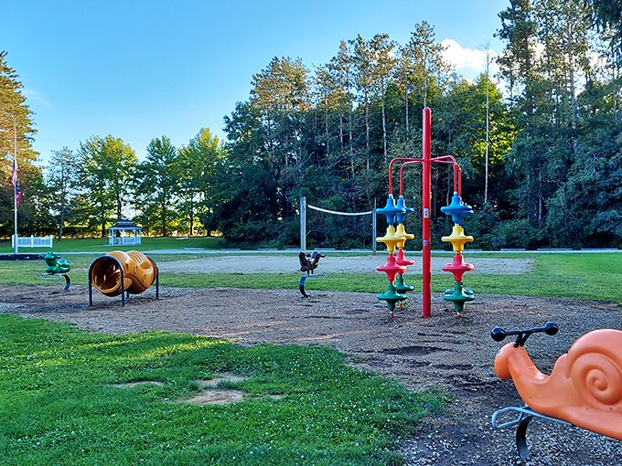 Childhood joy comes in colorful plastic at Mt. Gilead's playground, where that orange snail has probably witnessed generations of first adventures.