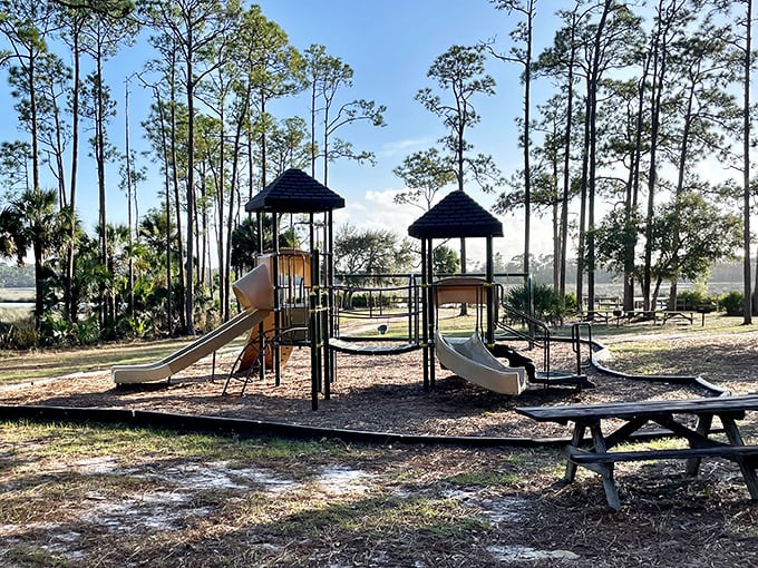 Kid paradise found! This playground nestled among the pines proves that sometimes the best entertainment doesn't require batteries or Wi-Fi.