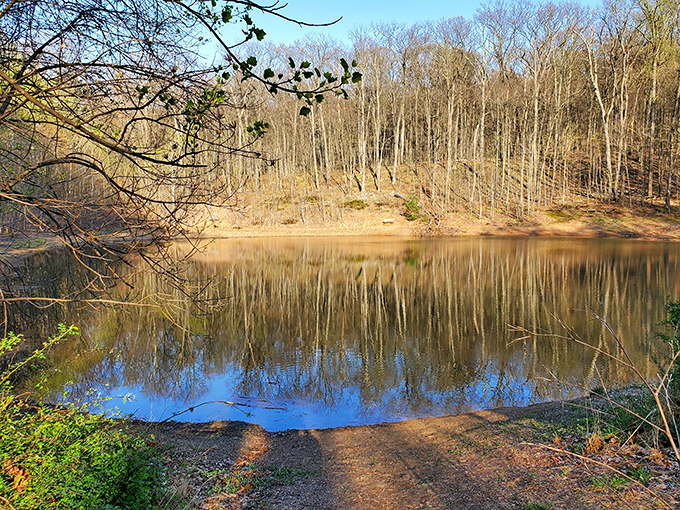 This tranquil pond reflects the surrounding forest like nature's own Instagram filter &ndash; no technology required, just patient observation.