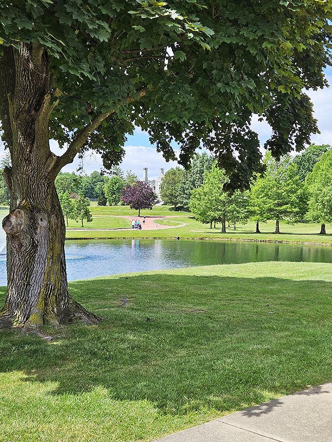 Centuries-old trees frame this peaceful pond view. The perfect spot for contemplating life's big questions or simply enjoying a sandwich with regal ambiance.