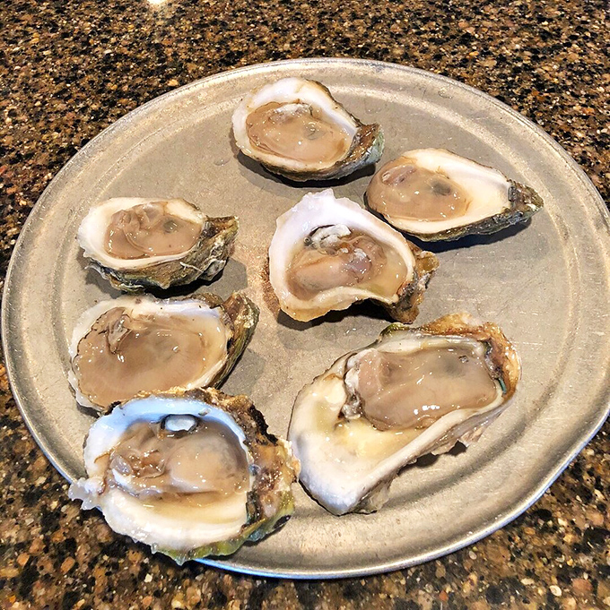 These glistening Gulf oysters aren't trying to impress anyone, yet somehow they're the most impressive thing you'll see all day.