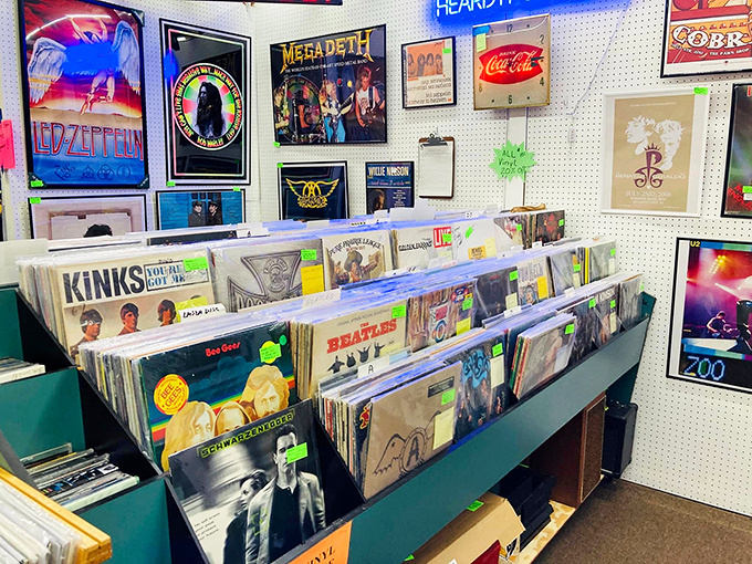 Vinyl heaven for music lovers! From Led Zeppelin to The Beatles, these records aren't just albums&mdash;they're time machines disguised as circular pieces of nostalgia.