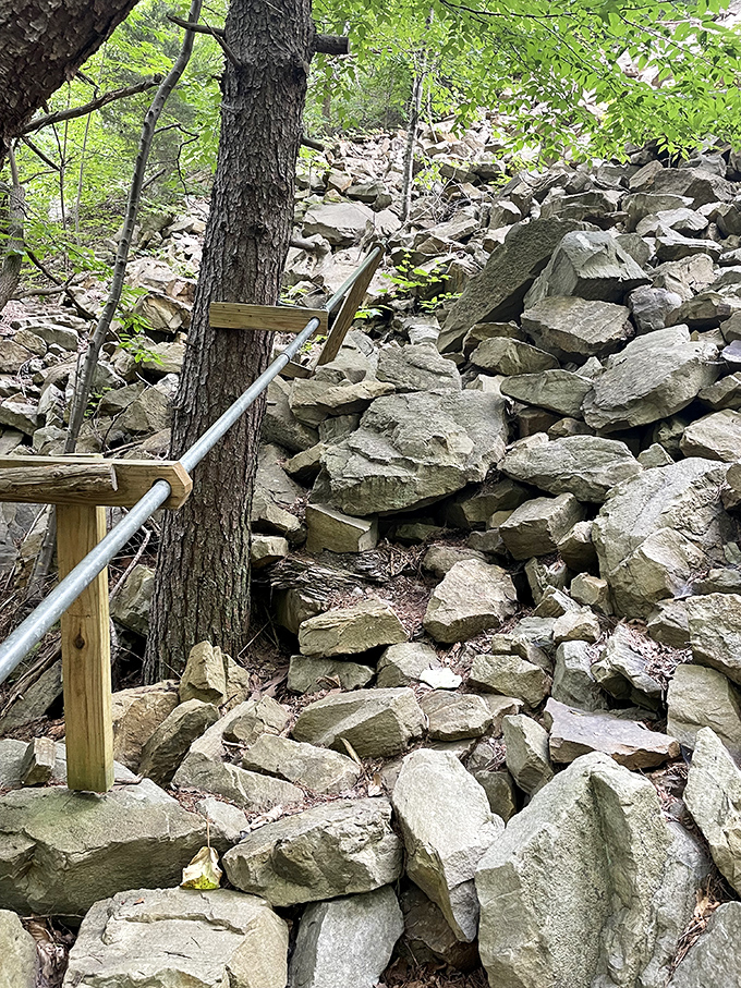 "Stairway to Heaven" played in my head while navigating this rock scramble. The trail occasionally reminds you that nature isn't always a gentle host.