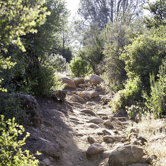 The path less paved is always more interesting. This rocky trail through chaparral feels like walking through the pages of a California wilderness storybook.
