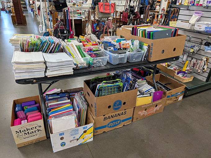 School supplies galore! Enough notebooks, folders, and educational materials to make a homeschooling parent weep with joy or a teacher's budget breathe a sigh of relief.