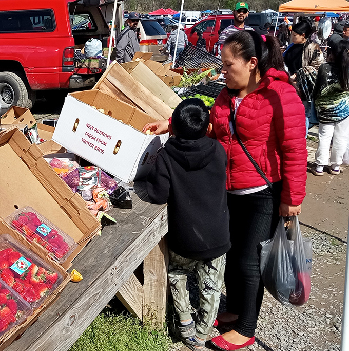 Family shopping becomes an adventure as curious eyes scan boxes of potential treasures. Every cardboard container might hold the find of the day!