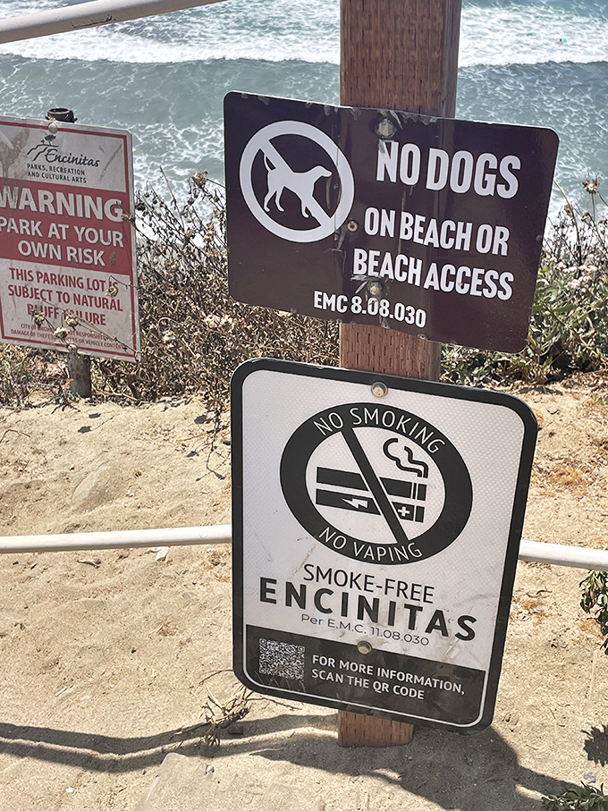 The signs say "no dogs" and "no smoking," but they forgot to mention "no resisting the urge to take 500 photos of this spectacular view."