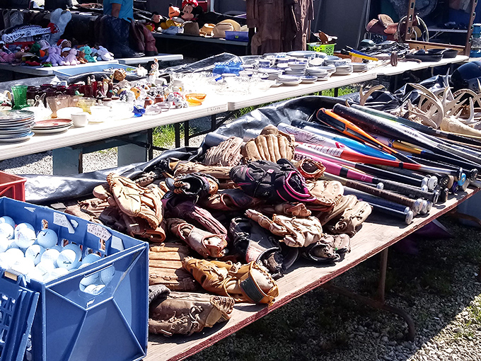 Baseball gloves with stories etched into their leather. Each one has caught dreams, disappointments, and probably a few too many dirt clods.