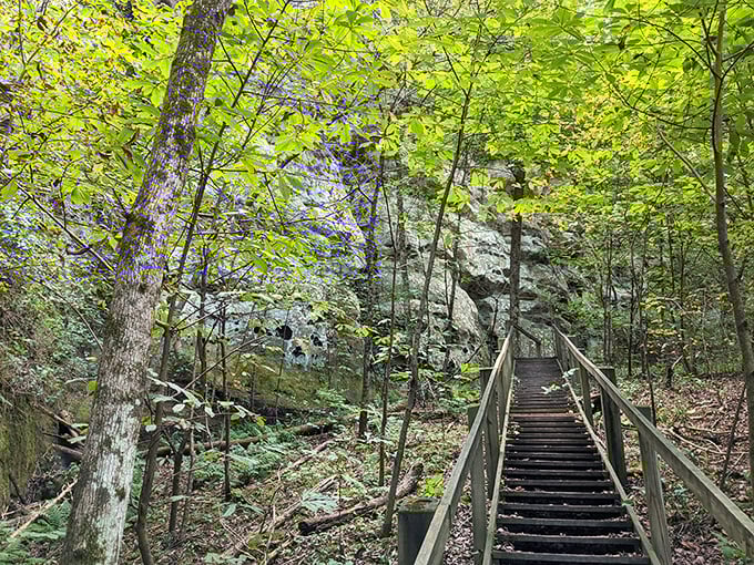 These wooden stairs might make your knees complain, but the views they lead to will make your soul sing with gratitude.