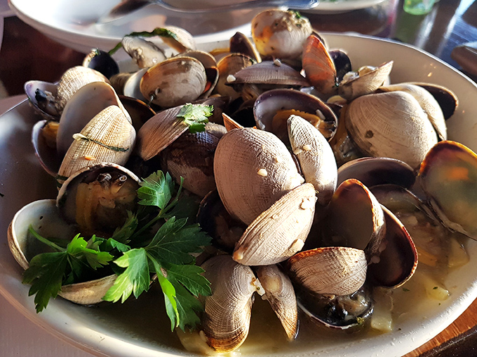 These aren't just steamed clams – they're little oceanic treasures bathing in a garlicky, wine-infused broth that demands to be sopped up with crusty bread.