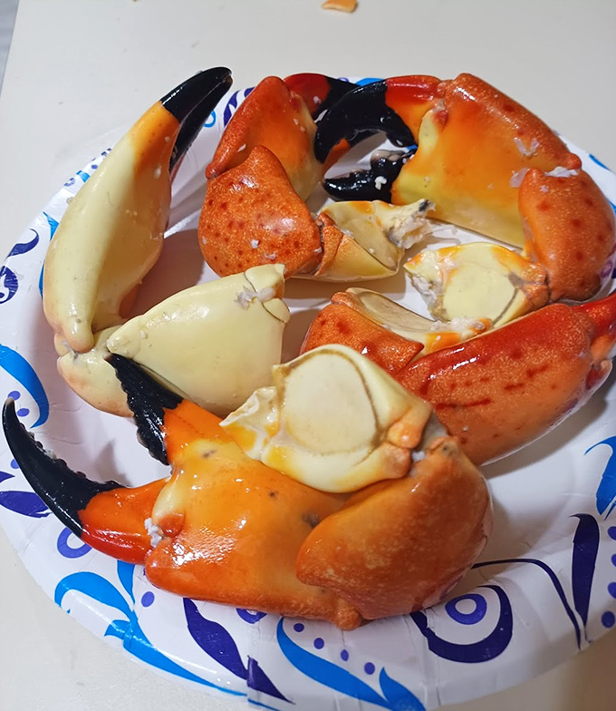 These stone crab claws arrive pre-cracked, because life's too short to wrestle with your dinner.