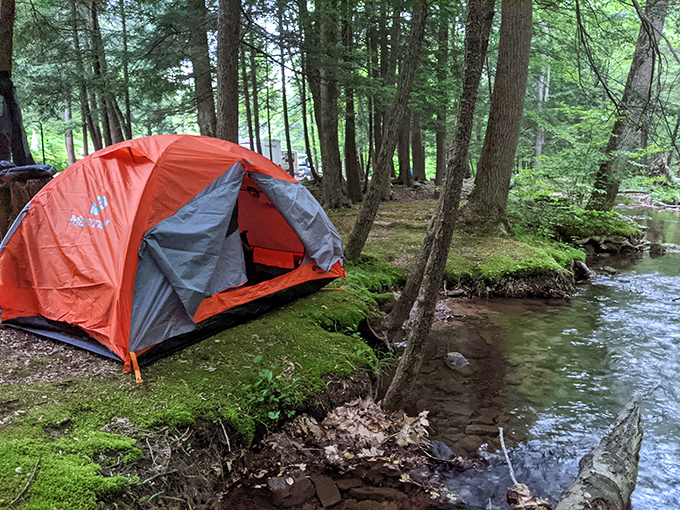 Streamside camping doesn't get more perfect than this vibrant tent perched on moss-covered ground. Like finding the presidential suite in nature's five-star hotel.