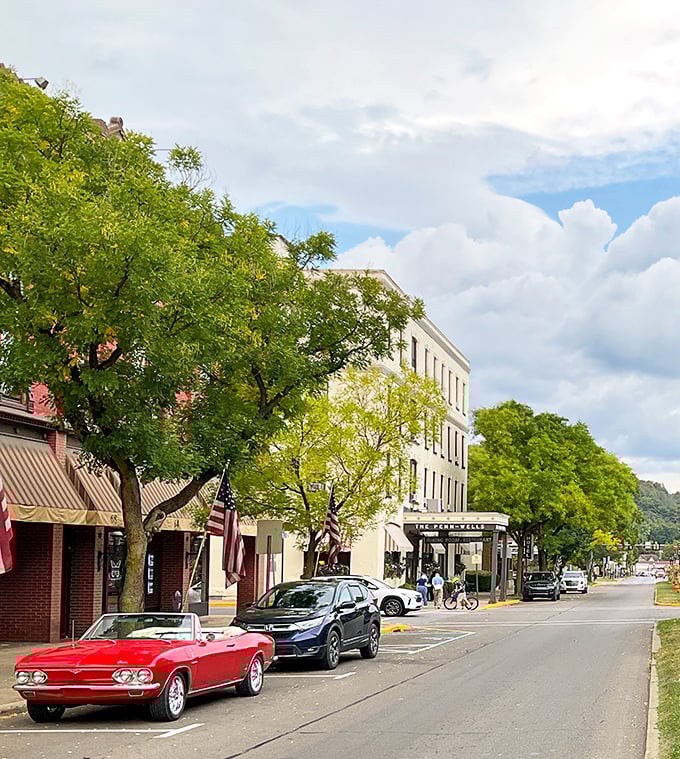 Main Street's tree-lined boulevard offers a perfect balance of nature and commerce, where a classic convertible feels right at home against the timeless backdrop.