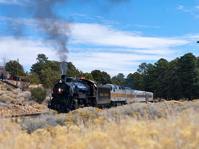 The historic steam engine powers through pine-scented wilderness, its billowing smoke a nostalgic signature against Arizona's impossibly blue sky.