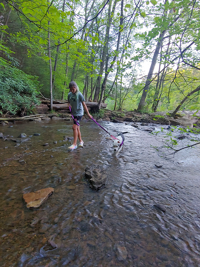 Childhood memories in the making: Nothing beats a summer splash in nature's playground. That dog is living its best life!