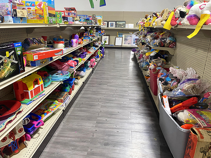 Toy aisle paradise where childhood dreams get a second chance. One shopper's outgrown plastic playhouse becomes another family's rainy day salvation.