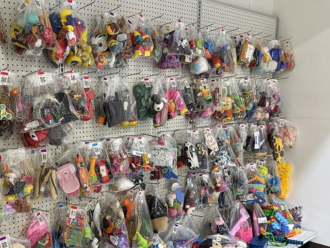 Toy paradise! Bagged treasures waiting to delight kids without decimating college funds. One person's decluttering is another's birthday miracle.