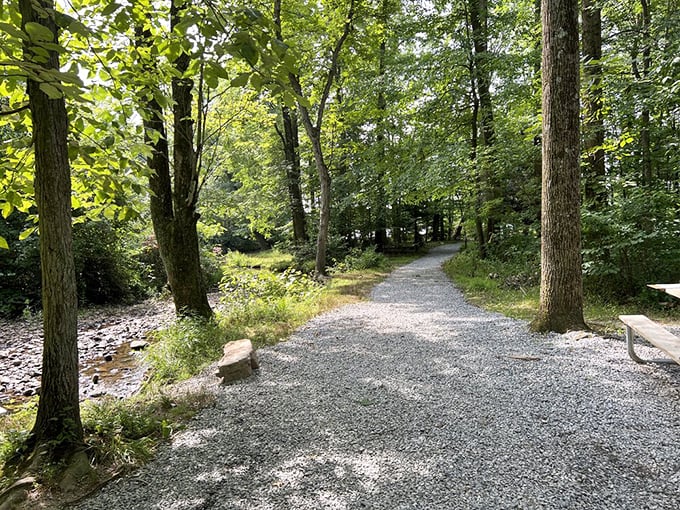 The path less traveled sometimes has crushed limestone for easier walking. Mother Nature's hallway beckons with dappled sunlight and whispered promises.