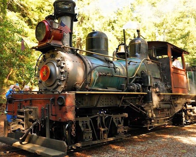This isn't just any locomotive&mdash;it's a mechanical time machine with pistons, steam, and American flags that's been conquering mountain grades for generations.
