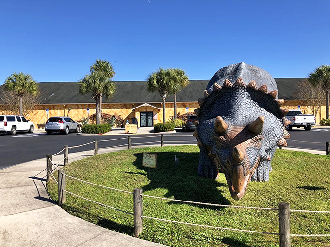 Triceratops on guard duty at the visitor center. This gentle giant has been welcoming guests without eating a single one&mdash;now that's customer service!