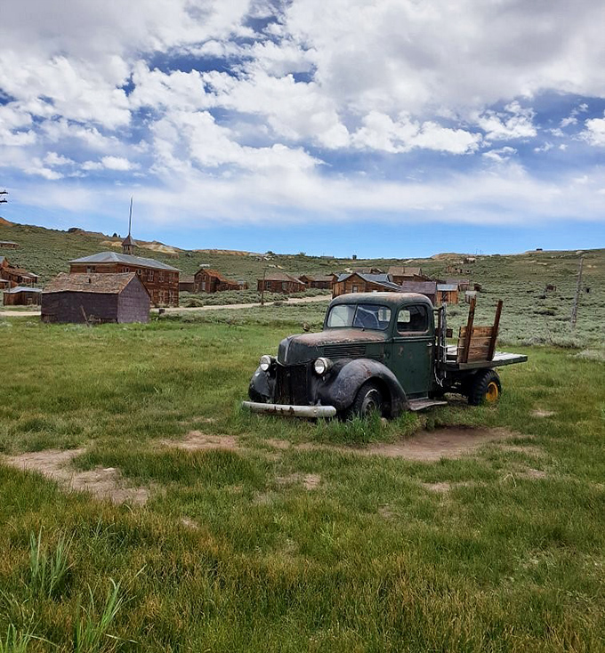 An old truck sits patient as a faithful dog, waiting for an owner who left decades ago.