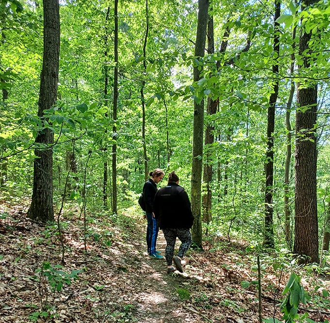 Fellow explorers forge ahead on Tar Hollow's winding trails. Sometimes the best conversations happen when you're walking side by side through dappled sunlight.